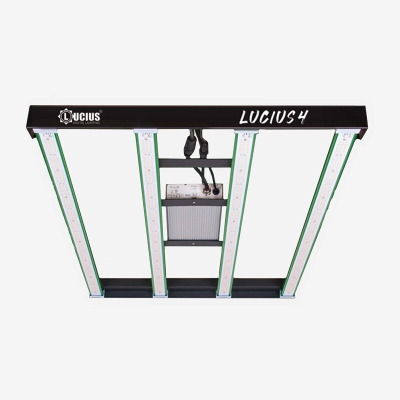 Lucius 720W – Lucius